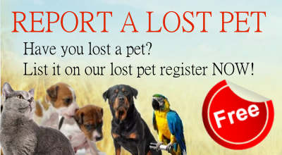 National Pet Register Lost and Found Pet Search UK